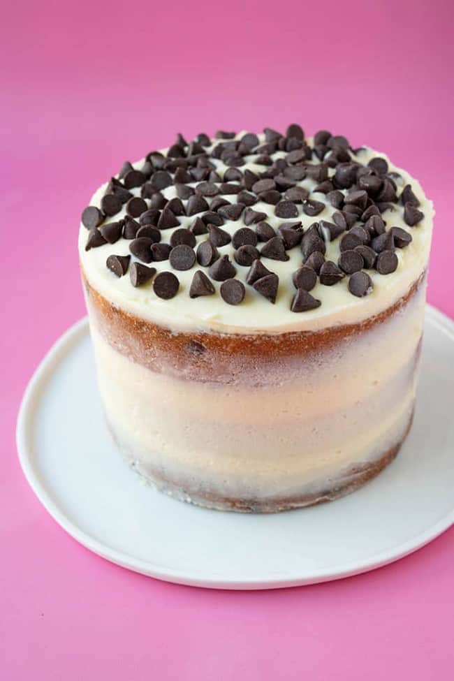 Chocolate Chip Cake (Soft and Moist) - Sweetest Menu