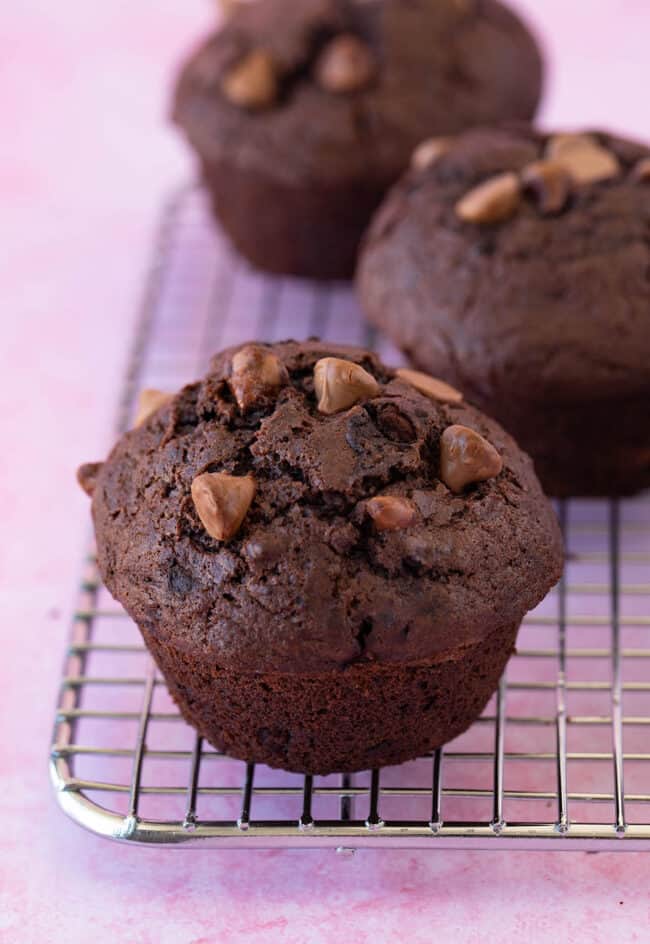 Small Batch Chocolate Muffins (Makes 6 Big Muffins) - Sweetest Menu