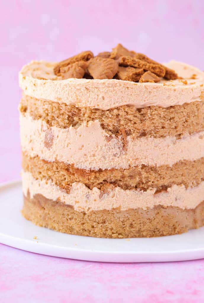 AMAZING Biscoff Cake (Milk Bar-Style) - Sweetest Menu