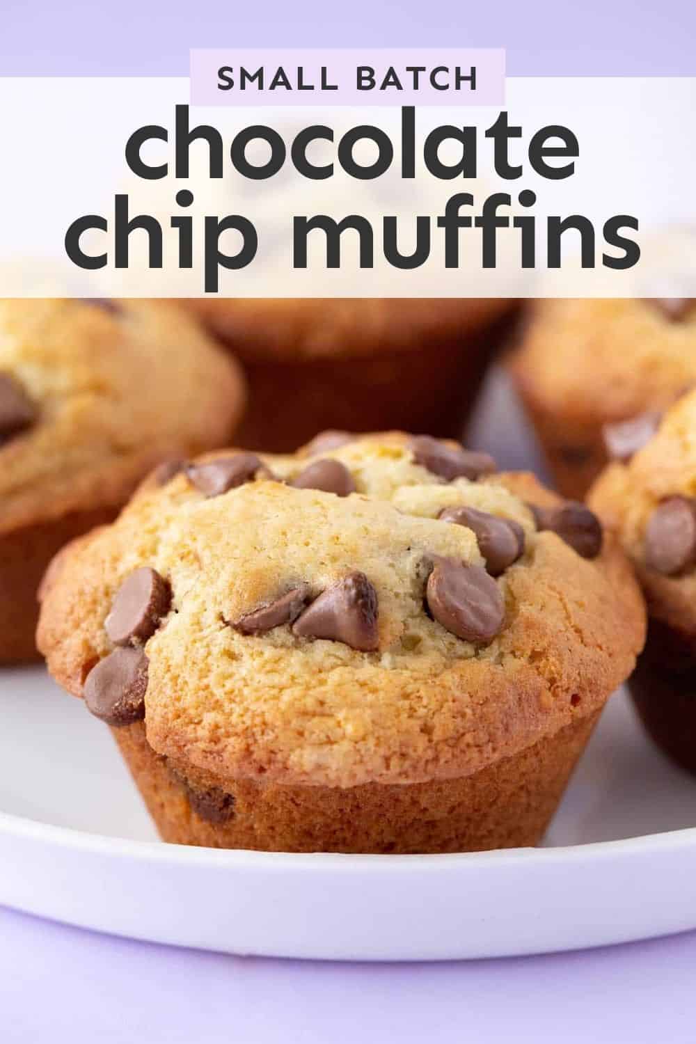 Small Batch Chocolate Chip Muffins (Makes 6) - Sweetest Menu