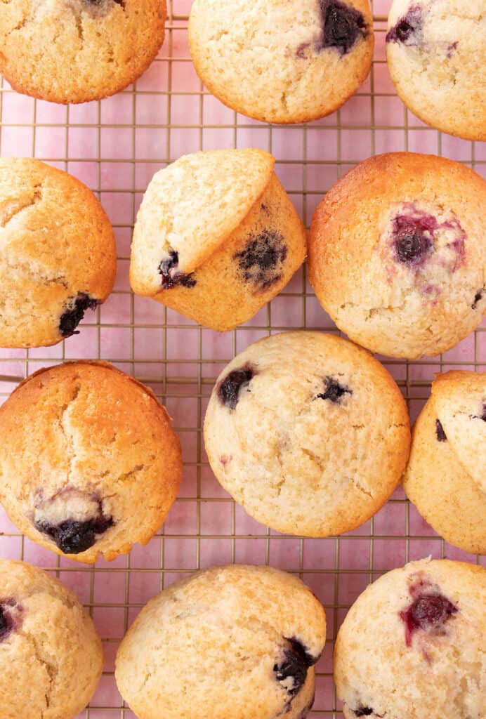 The BEST Lemon Blueberry Muffins - Sweetest Menu