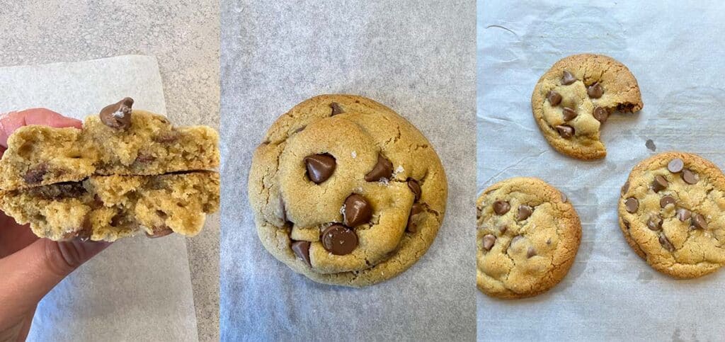 Single Serve Chocolate Chip Cookie Recipe (One Bowl)