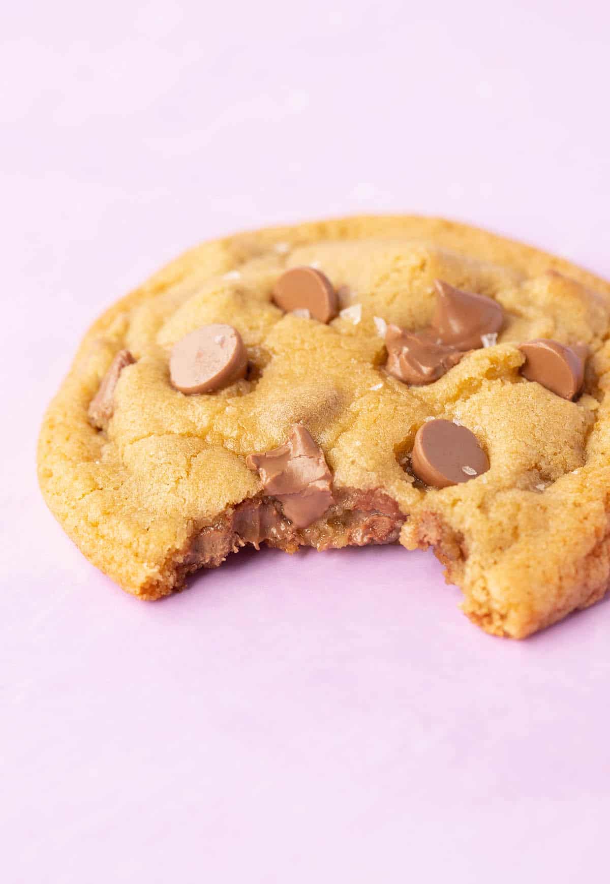 Single Serve Chocolate Chip Cookie Recipe (One Bowl)