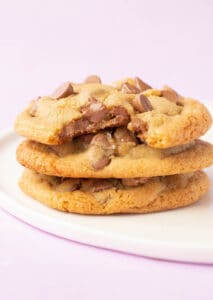 Single Serve Chocolate Chip Cookie Recipe (One Bowl)