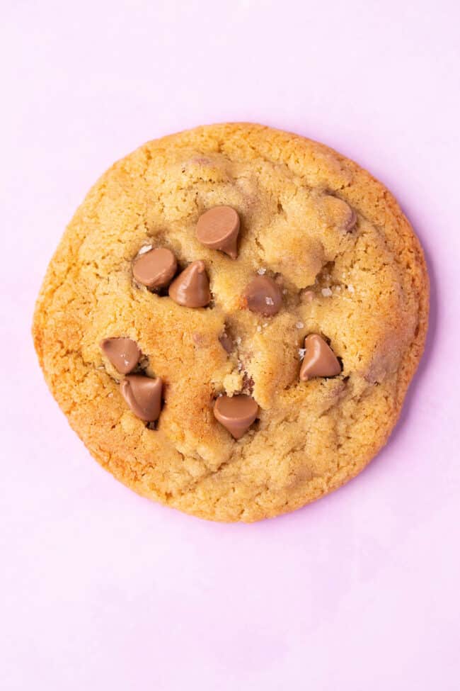 Single Serve Chocolate Chip Cookie Recipe (One Bowl)