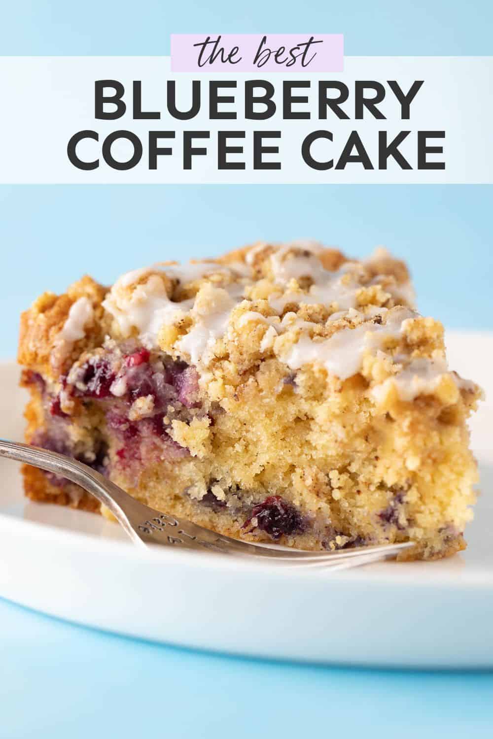 Easy Blueberry Sour Cream Coffee Cake (SO MOIST)