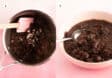 Sticky Date Pudding (Made With Muffin Pan) - Sweetest Menu