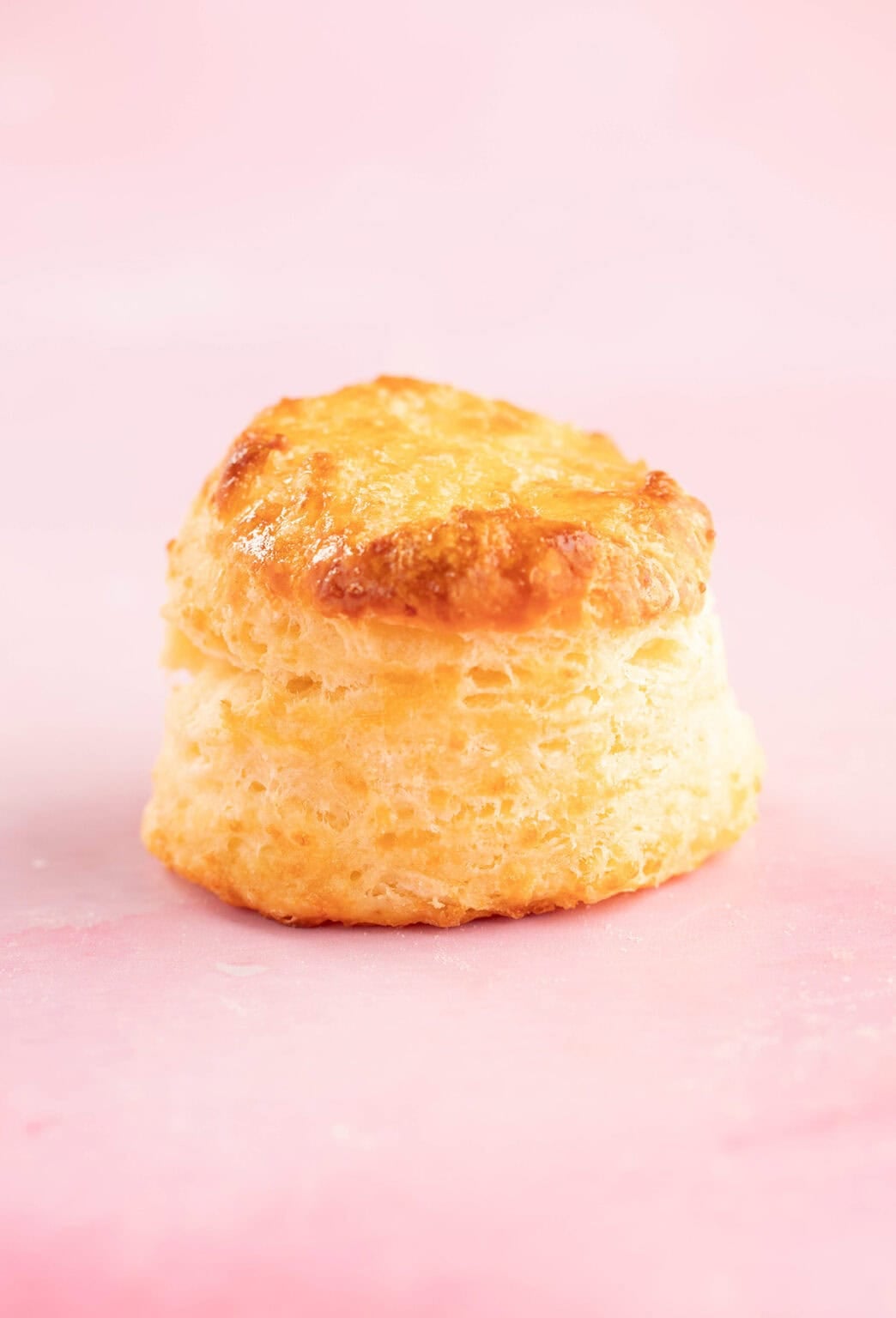 Easy Cheese Scones (Tall & Buttery) - Sweetest Menu